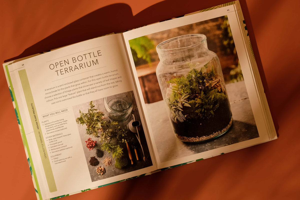 Practical House Plant Book – Forest