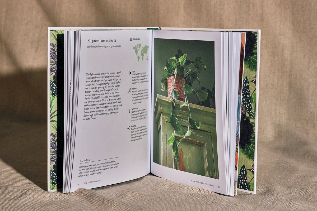 The Green Indoors Book – Forest